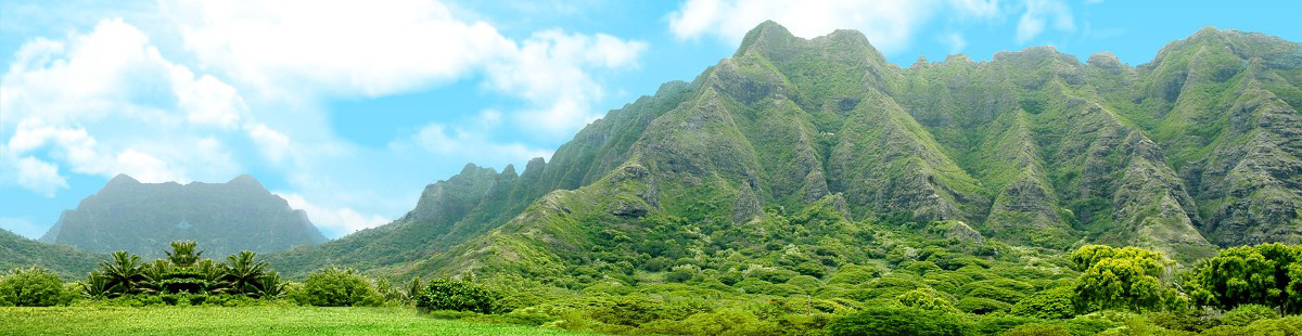 Psychic Medium - Jennifer Doran - Jennifer Doran is a psychic medium ...