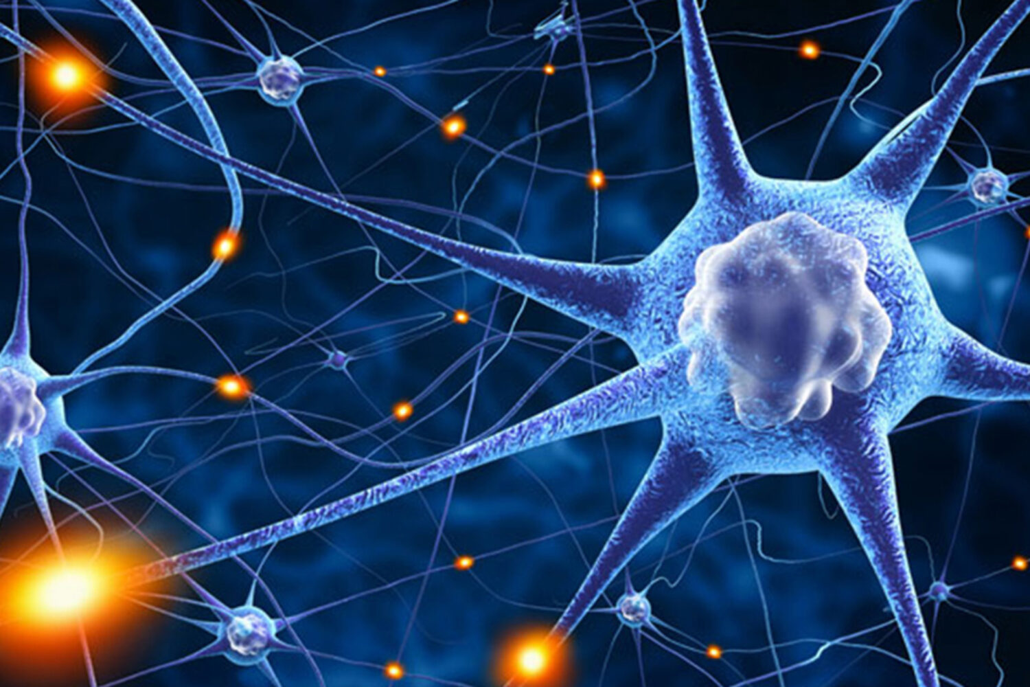 Neuroplasticity | Psychic Medium – Jennifer Doran